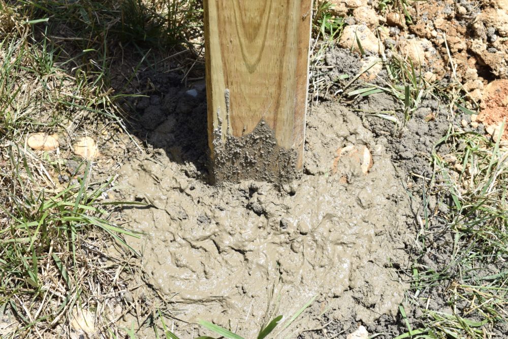 How to Install a Sturdy Bird Feeder Post